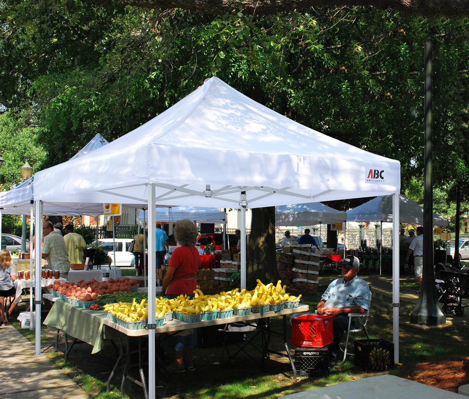 Best Heavy Duty Pop up Canopy 2025 Durable Shelters For Any Condition best-heavy-duty-pop-up-canopy-2025-durable-shelters-for-any-condition